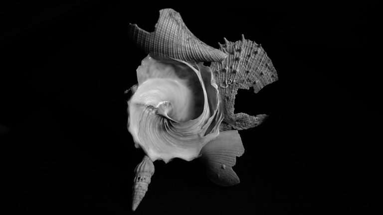 Jamie Kane - Inverness Museum and Art Gallery