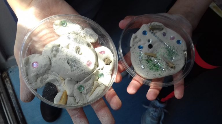 Fantastic Fossils - Inverness Museum and Art Gallery