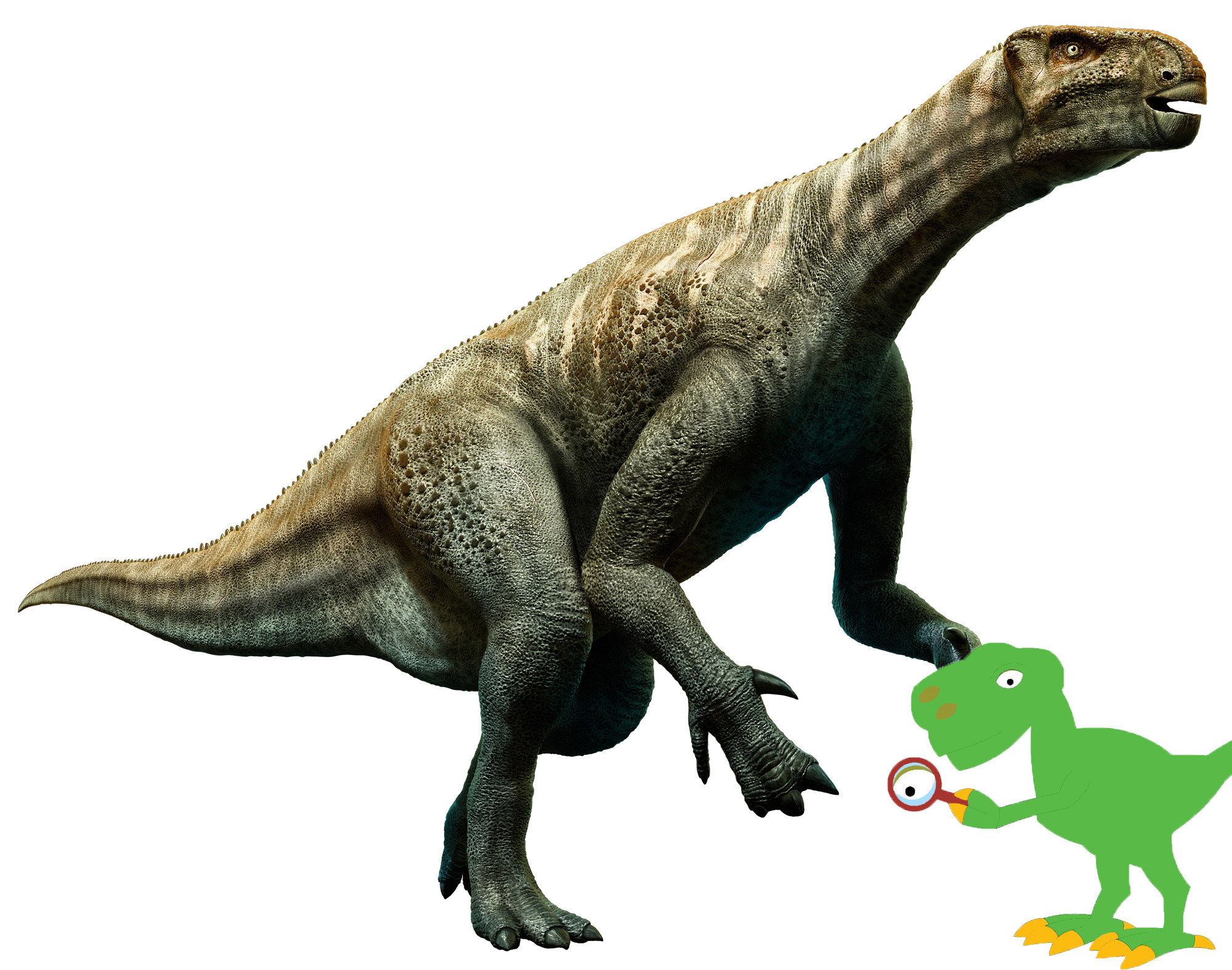 Discovering Dinosaur Dung… - Inverness Museum and Art Gallery