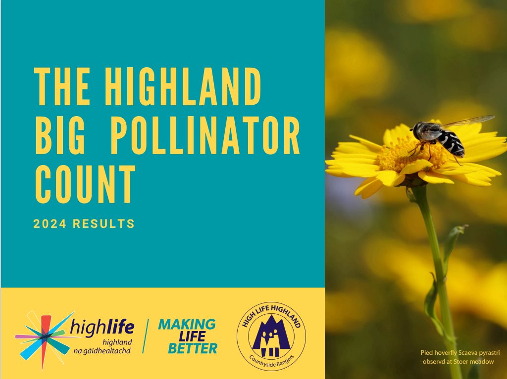 The Highland Big Pollinator Count 2024 - High Life Highland Rangers