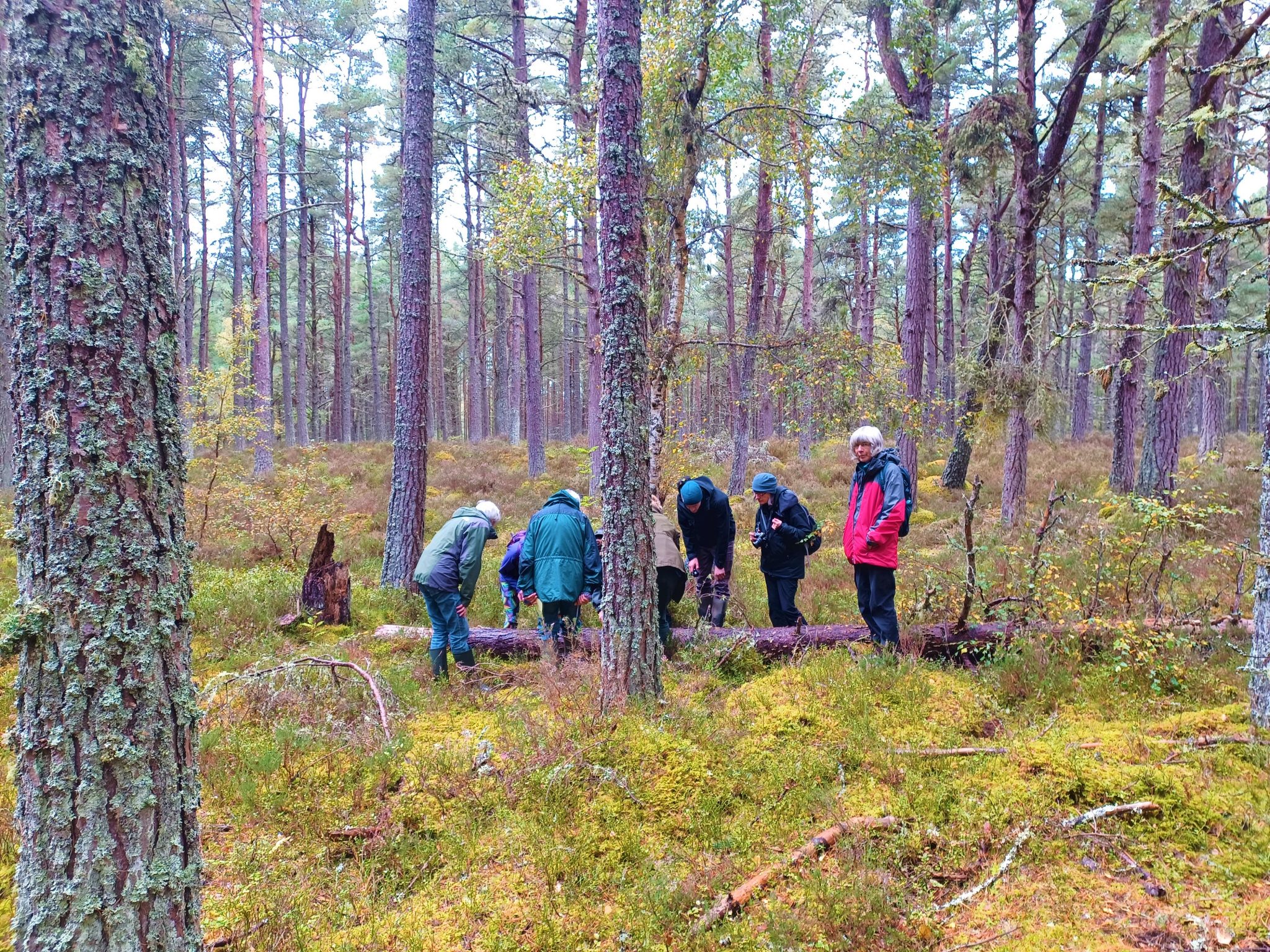 Have an ‘awe-tumn’ time exploring hidden wildlife spots with Inverness ...