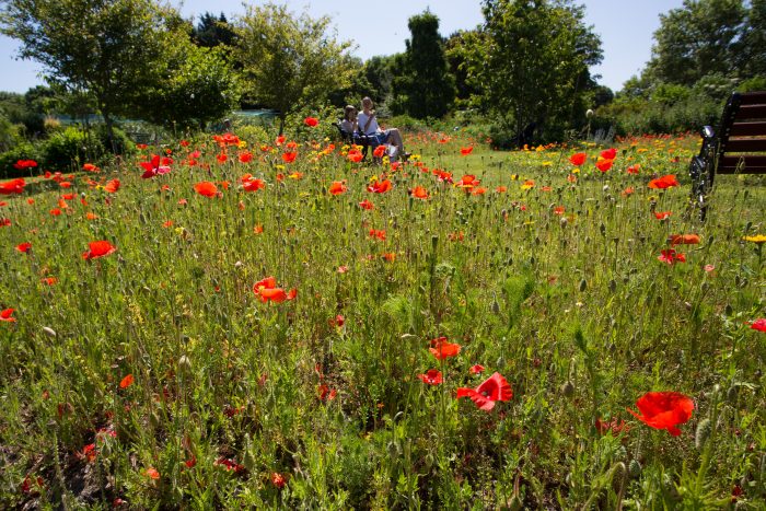Welcome to High Life Highland - High Life Highland