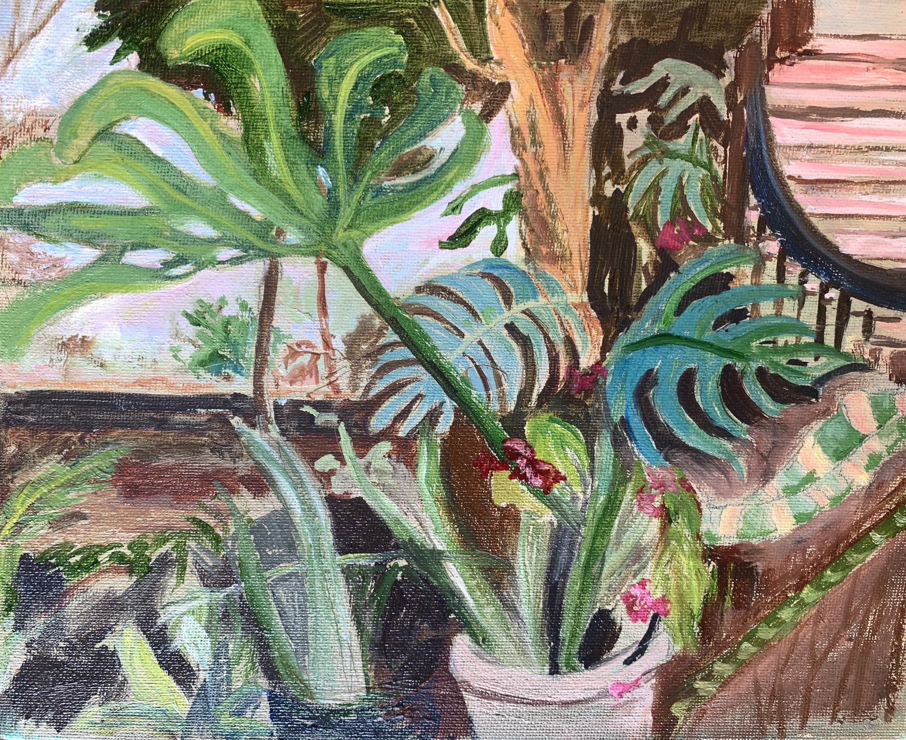 It’s close to home for the latest Botanic Gardens art exhibition - High ...